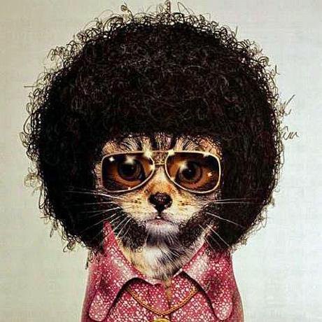 PP's Profile | Hackaday.io