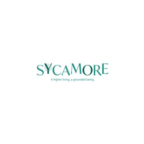 Sycamore Capitaland's Profile | Hackaday.io
