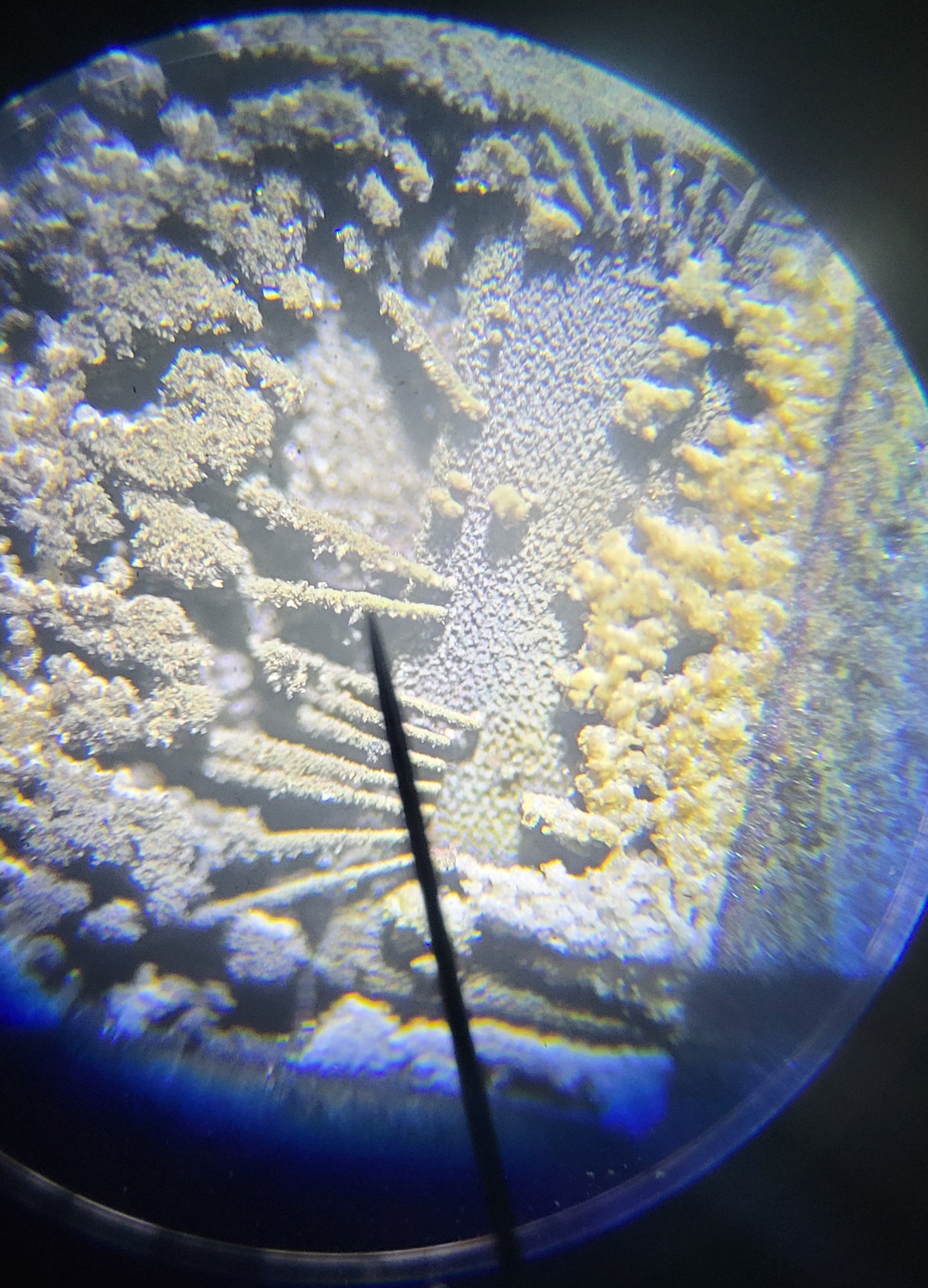 Safe IC decapping while preserving bond wires | Hackaday.io