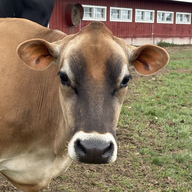 Maya F's Profile | Hackaday.io