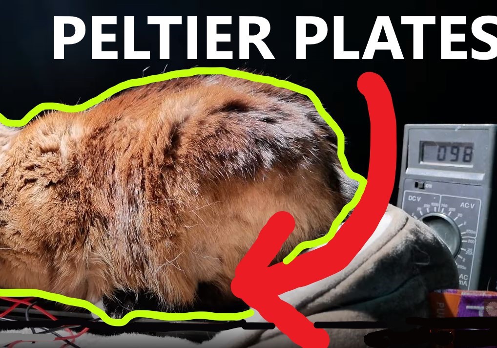 Gallery | PELTIER BASED CAT POWERED PHONE CHARGER | Hackaday.io