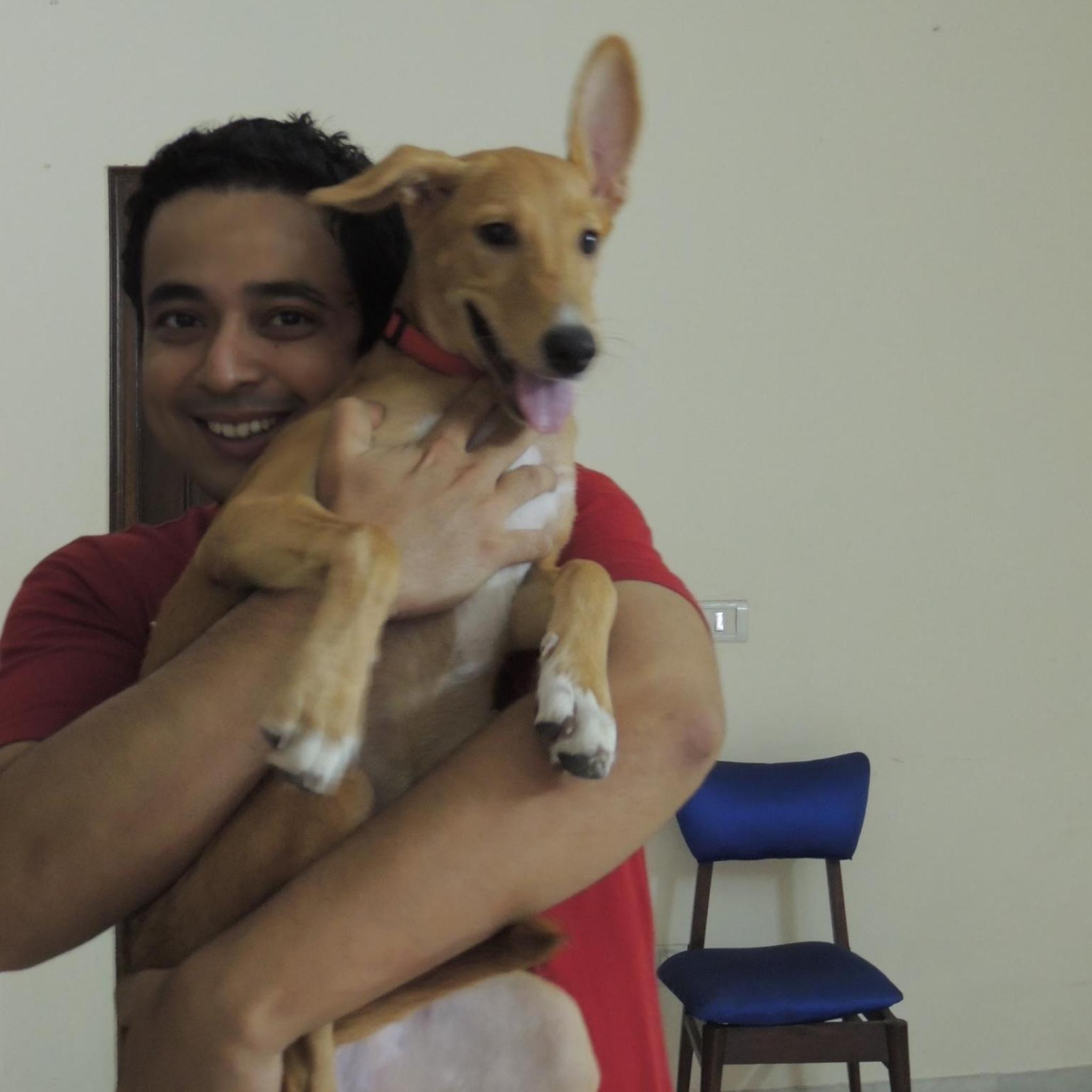 Ankit Bhatnagars Profile 4318