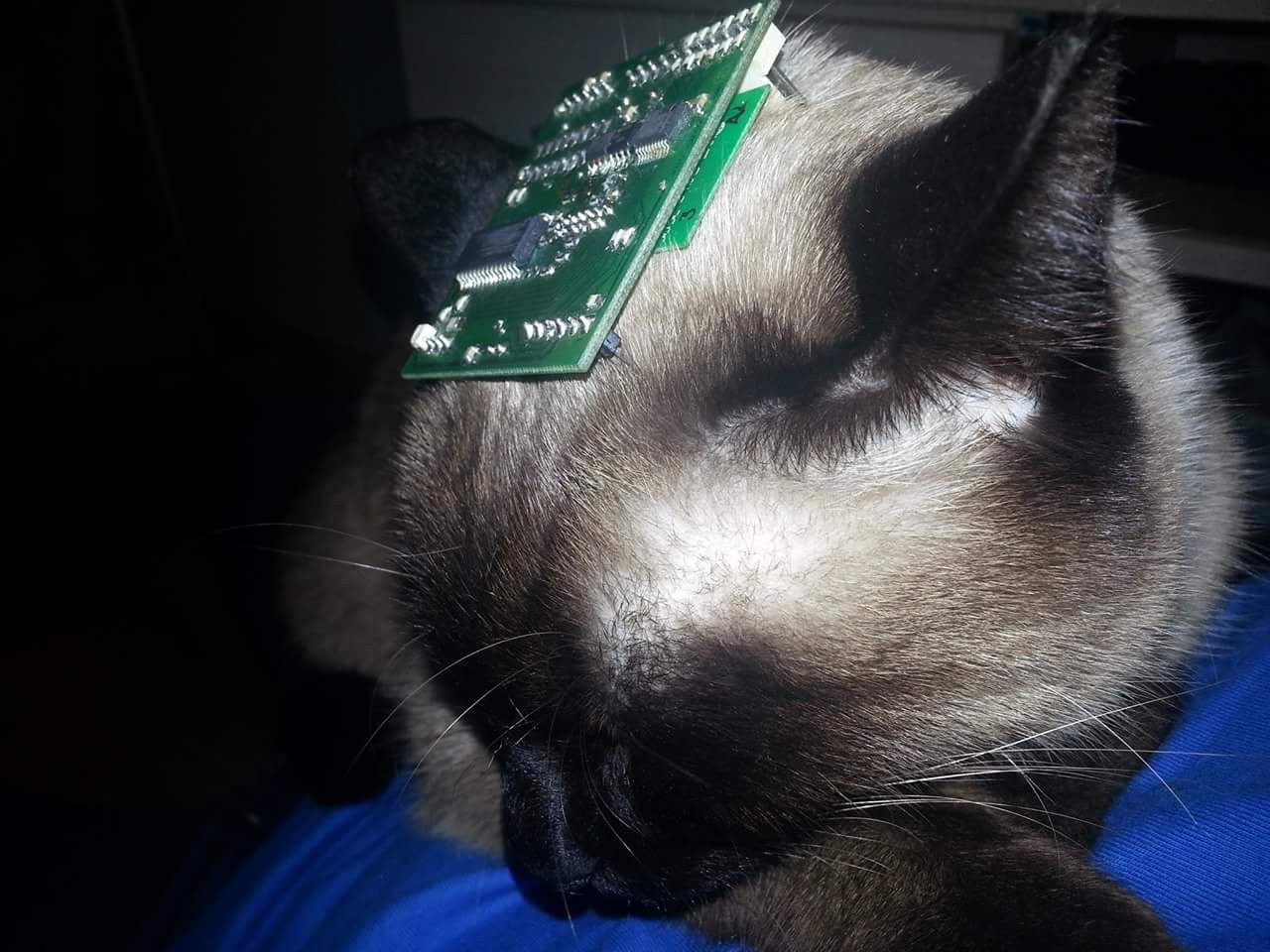 Andrei D.'s Profile | Hackaday.io