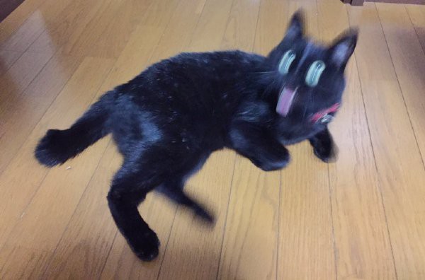 webfann's Profile | Hackaday.io