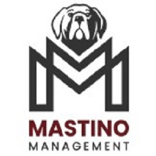 Mastino Management Review's Profile | Hackaday.io