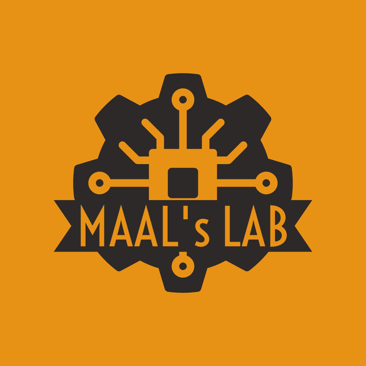 MAAL's LAB's Profile | Hackaday.io