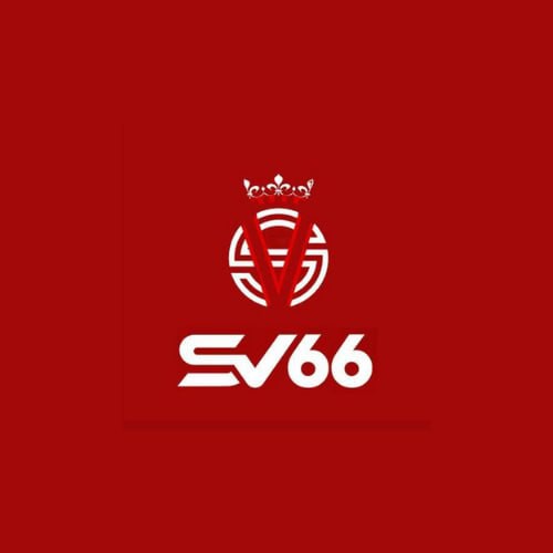 SV66 789's Profile | Hackaday.io