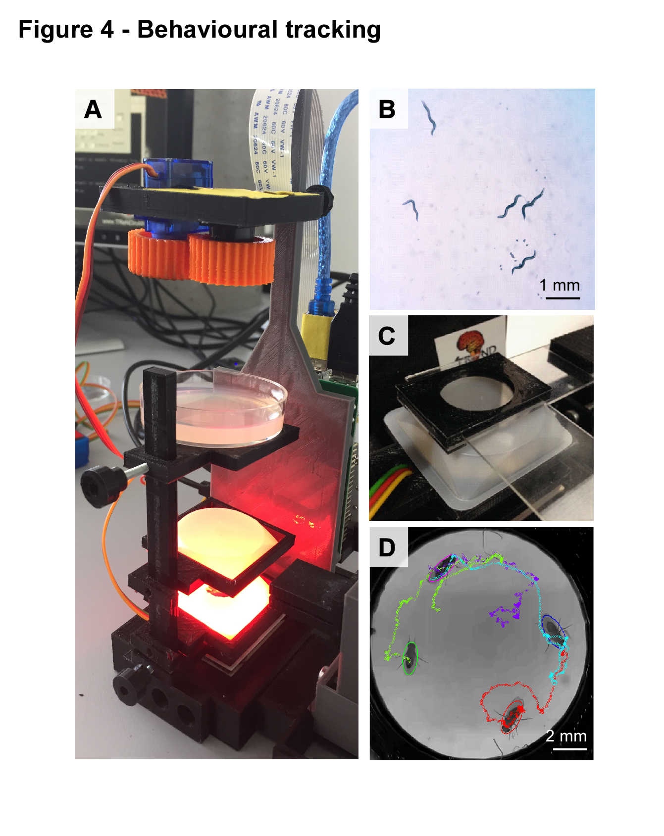 Flypi Gallery • Hackaday.io