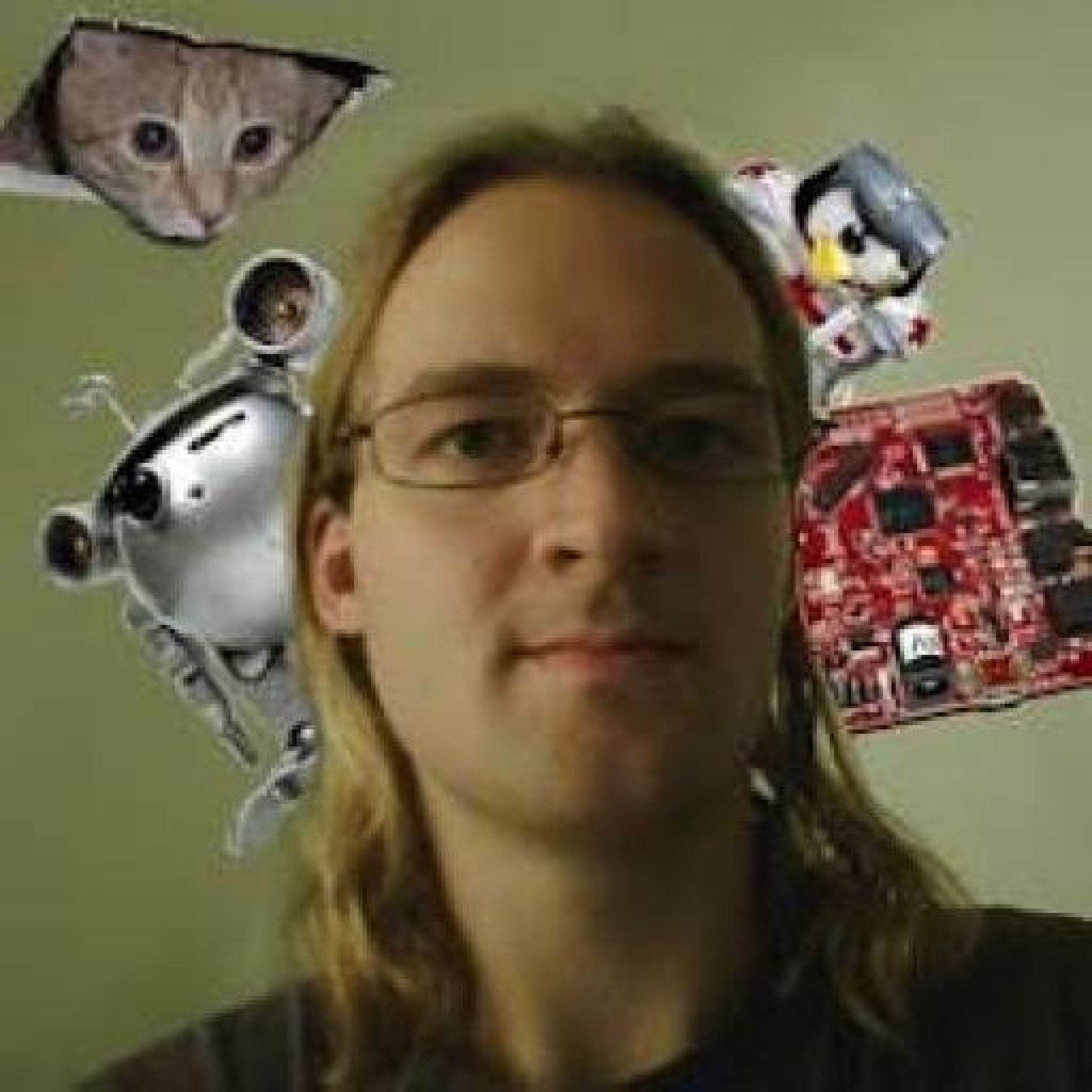 anton.fosselius's Profile | Hackaday.io