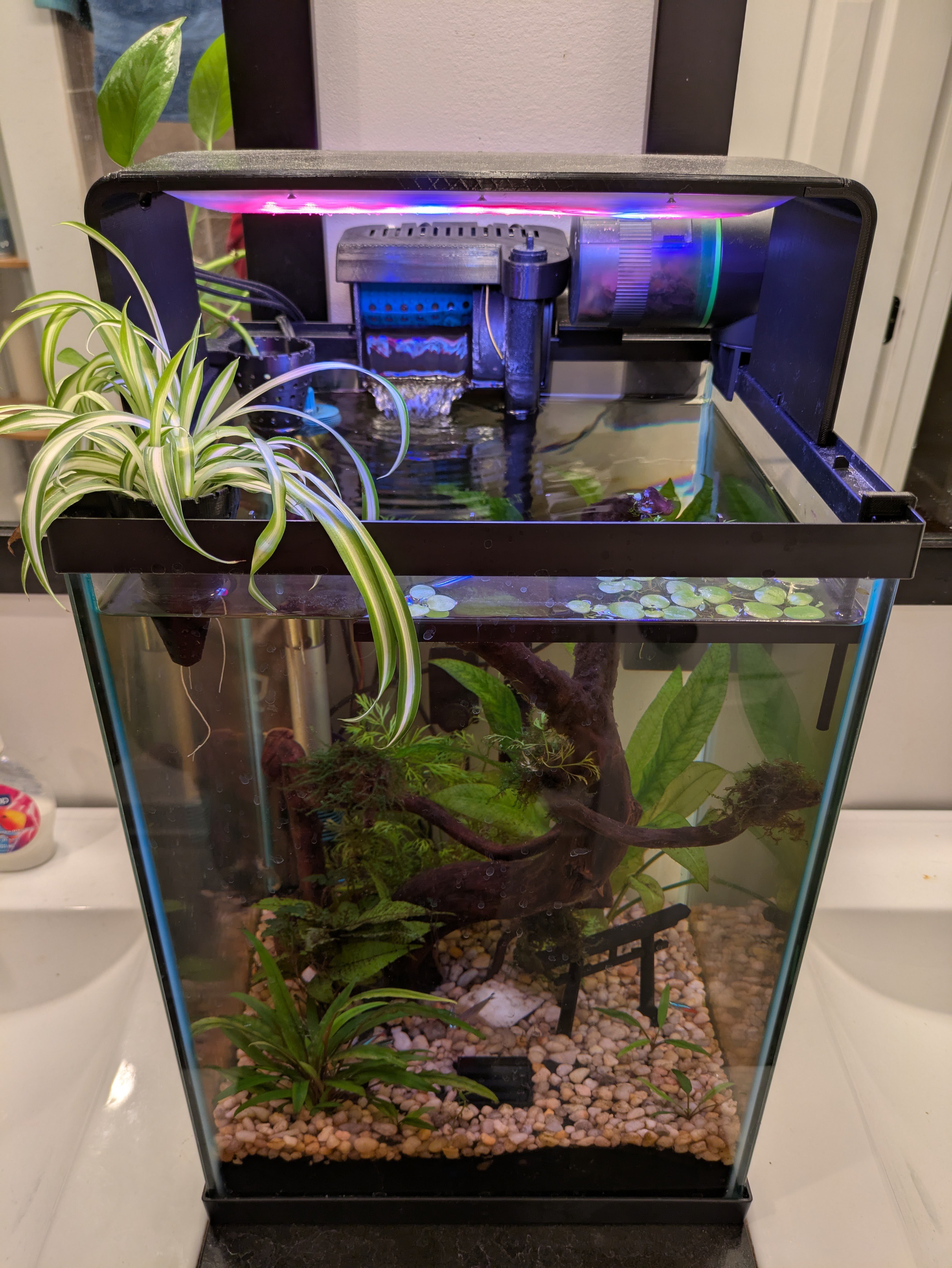 Gallery | Aquarium Monitor and Controller | Hackaday.io
