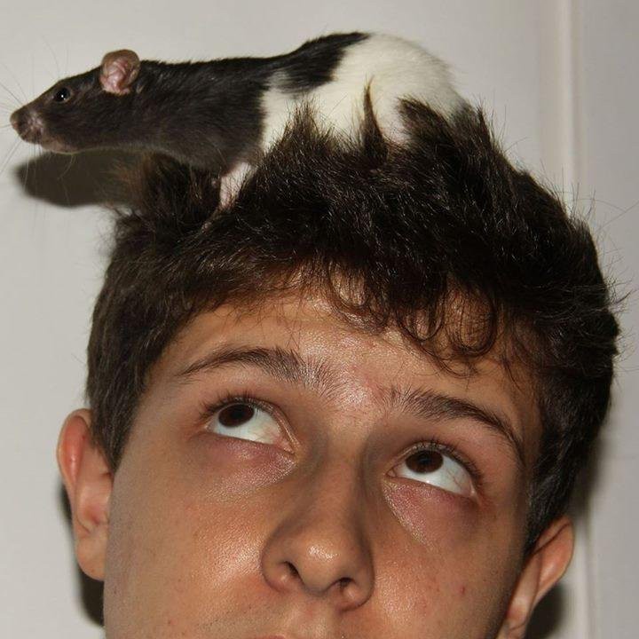 Samuel Franco's Profile | Hackaday.io