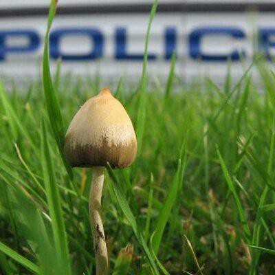 Peter's Profile | Hackaday.io