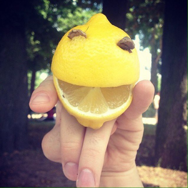 Fabi3nV's Profile | Hackaday.io