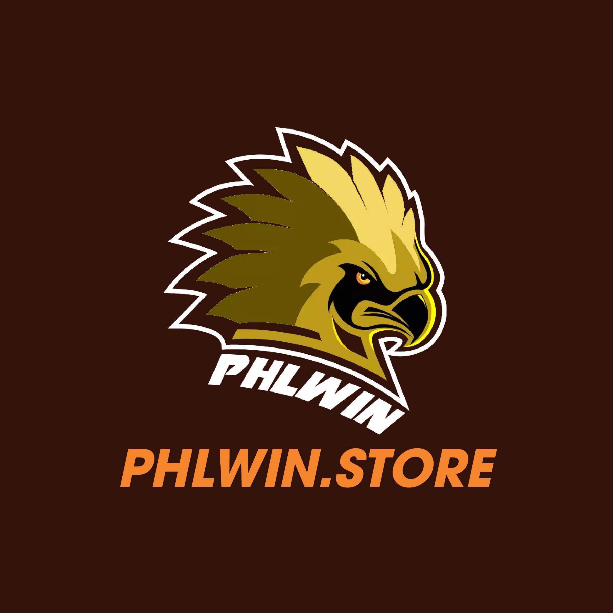 PhlWin store's Profile | Hackaday.io