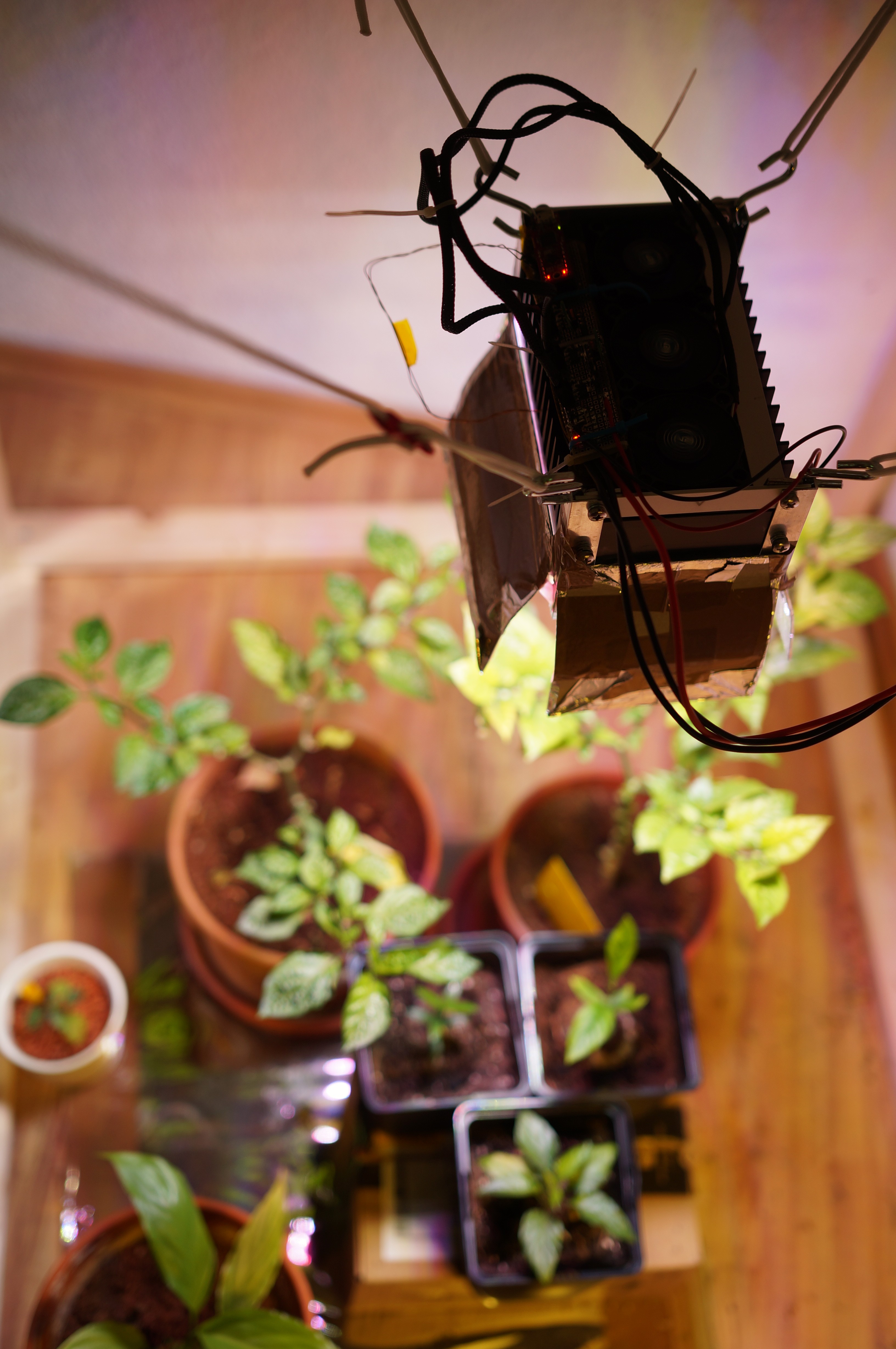 Gallery | Planty Happy Grow Light | Hackaday.io
