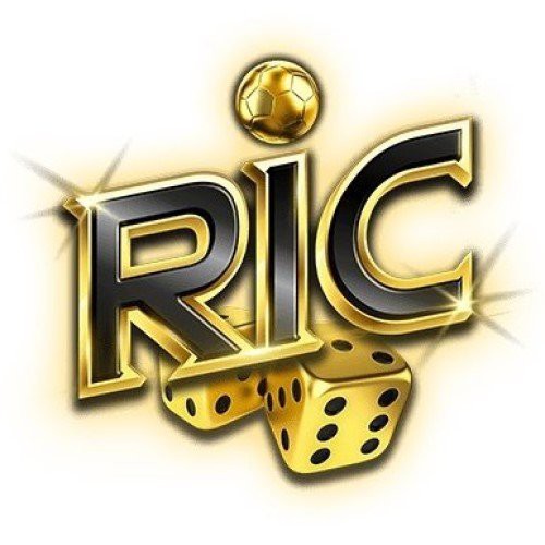 Ricwin Net's Profile | Hackaday.io