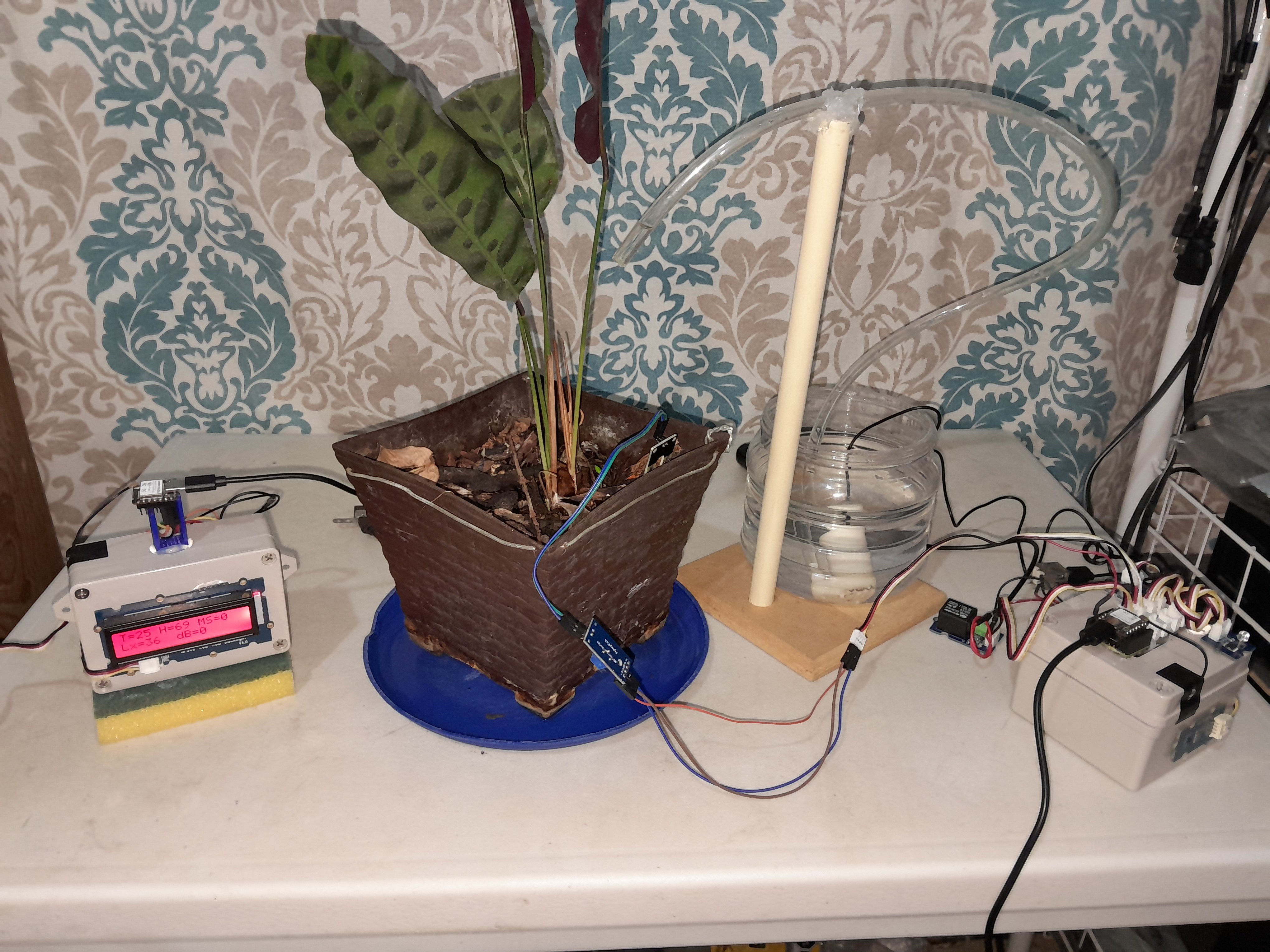 Gallery | Seeed Plant Watering System | Hackaday.io