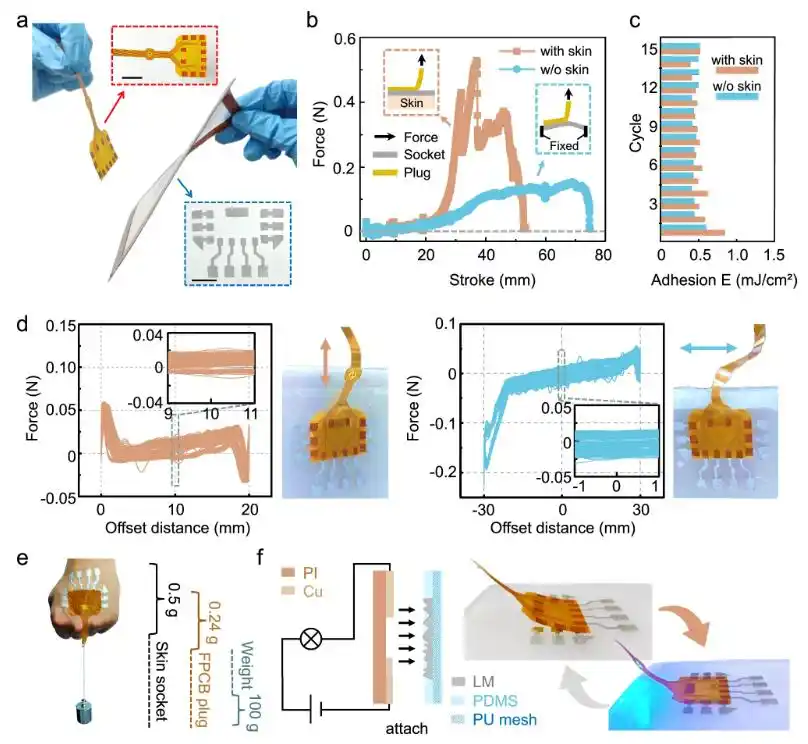 How FPC Accelerates the Upgrade of ECG Monitoring Technology ...