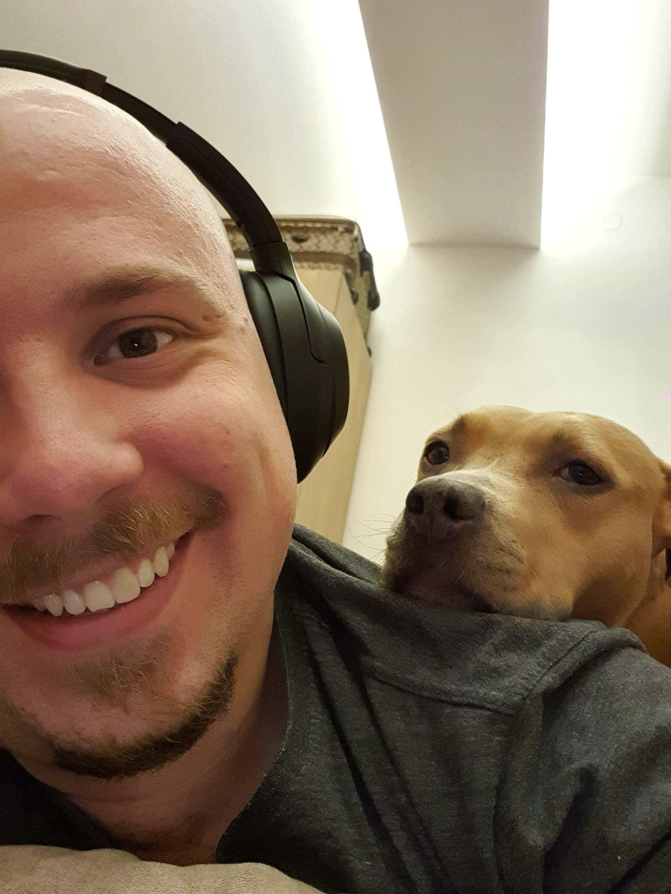 rene.radojcic's Profile | Hackaday.io