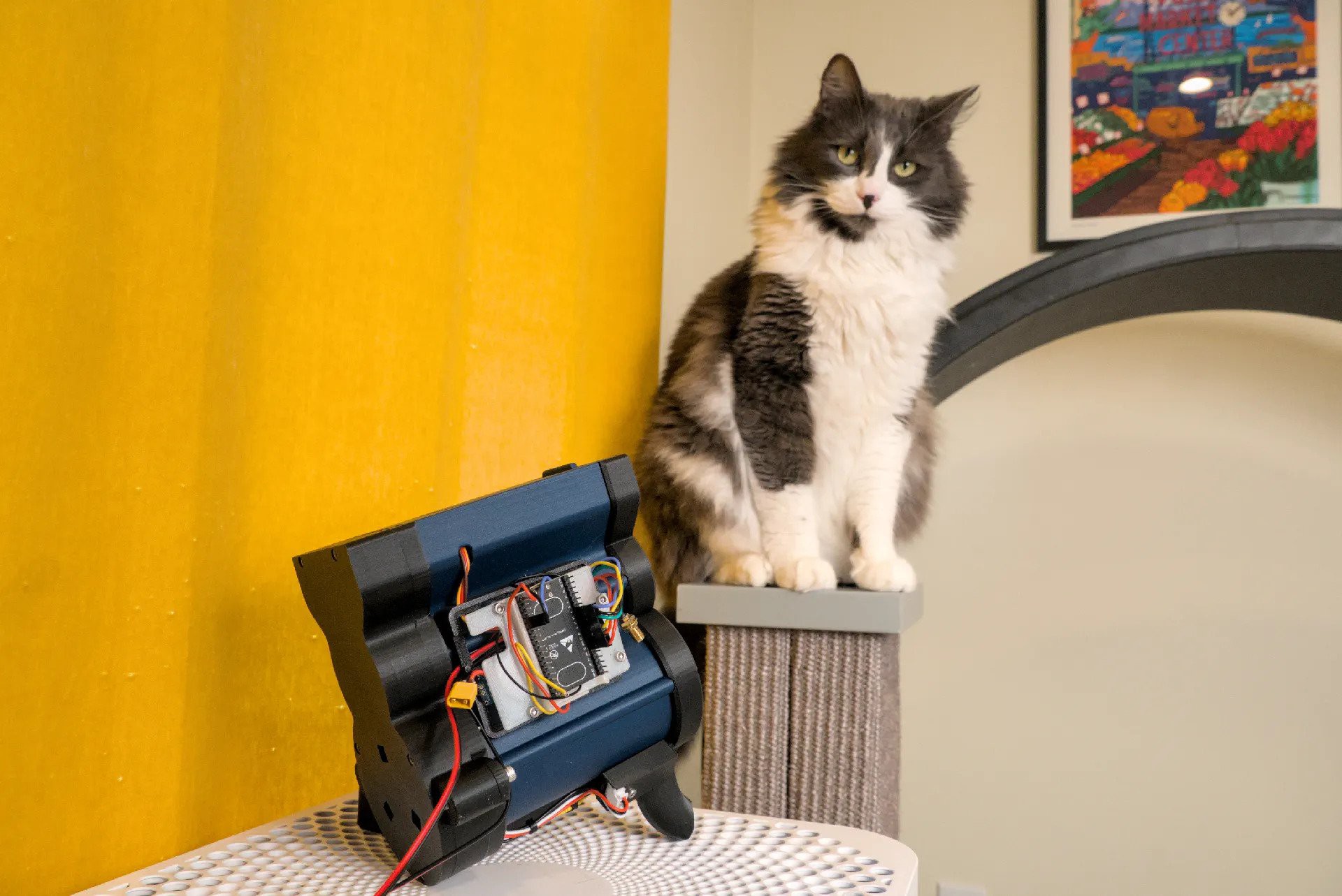 Gallery | IoT Cat Treat Dispenser + Treadmill for WeightLoss | Hackaday.io