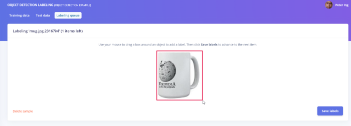 Beginners guide to Object Detection with Edge Impulse | Peter Ing | Hackaday.io