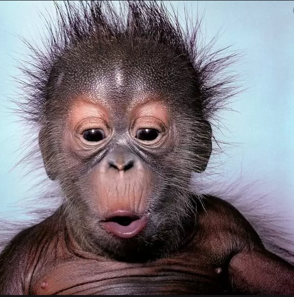 Sam's Profile | Hackaday.io