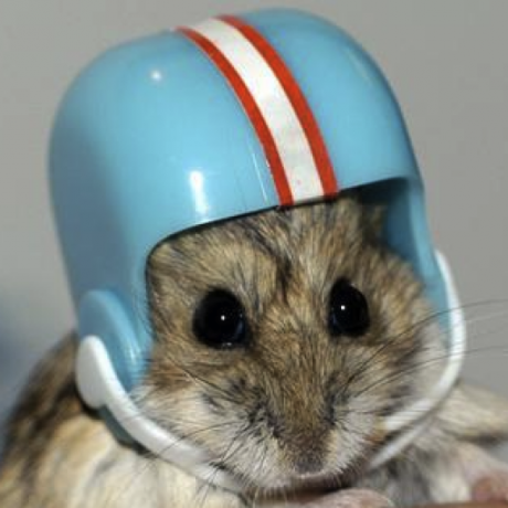 Jan Roesner's Profile | Hackaday.io