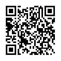 Artemis A. Jackson's Profile | Hackaday.io