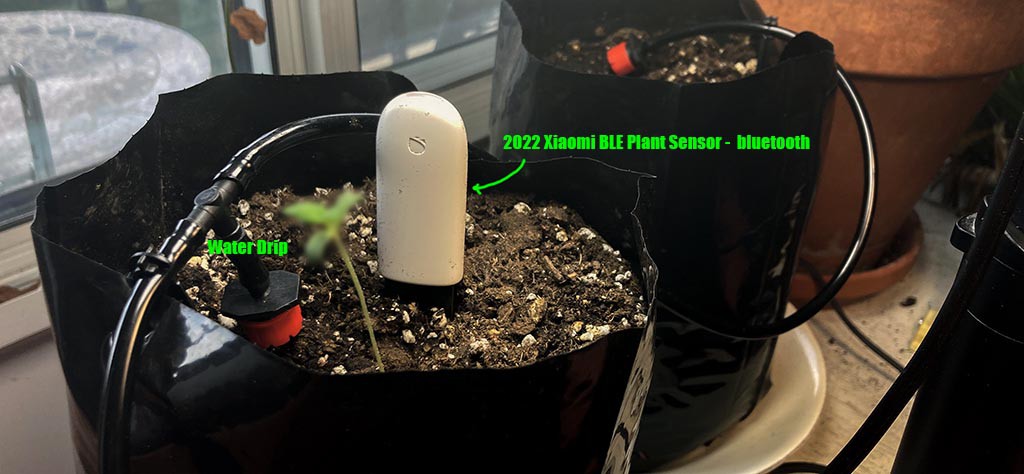 Gallery | Rhaspberry Pi4 - Basic watering system for balcony | Hackaday.io