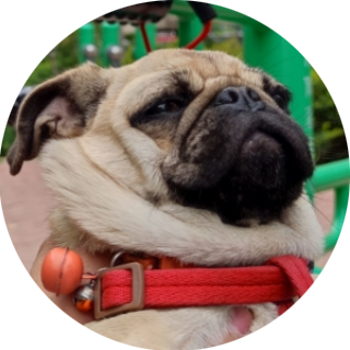 251248627 S Profile Hackaday Io