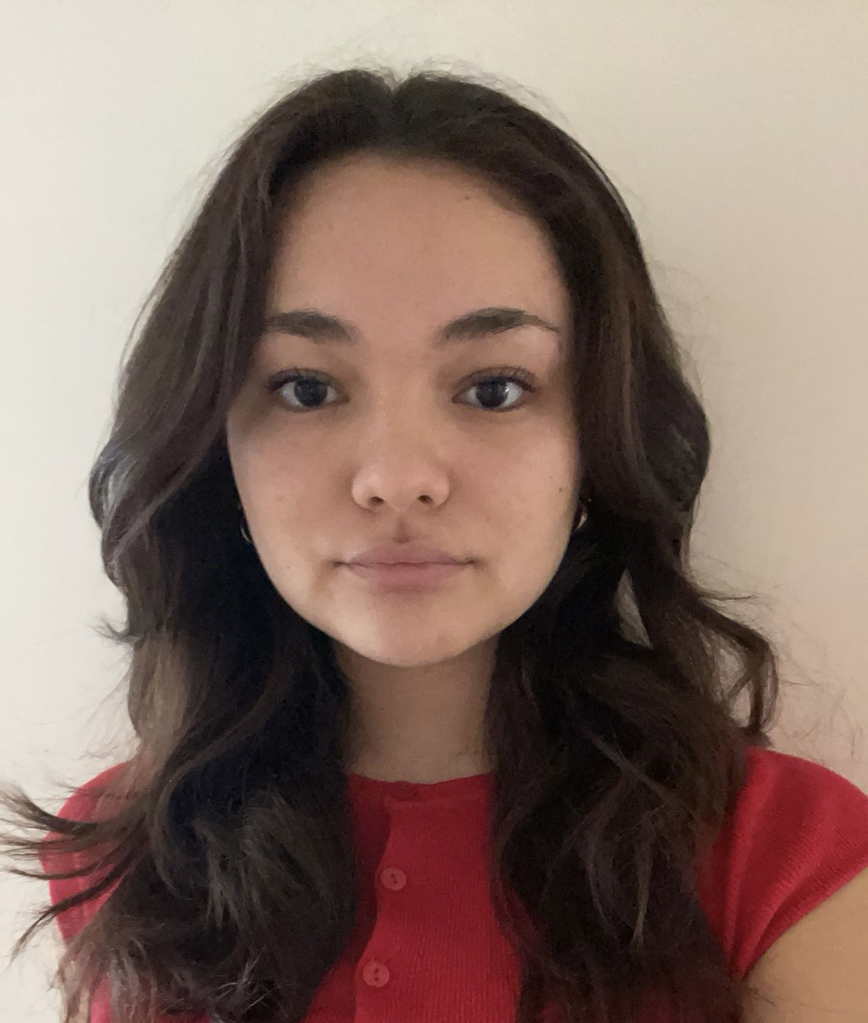 kana.ito-russo's Profile | Hackaday.io