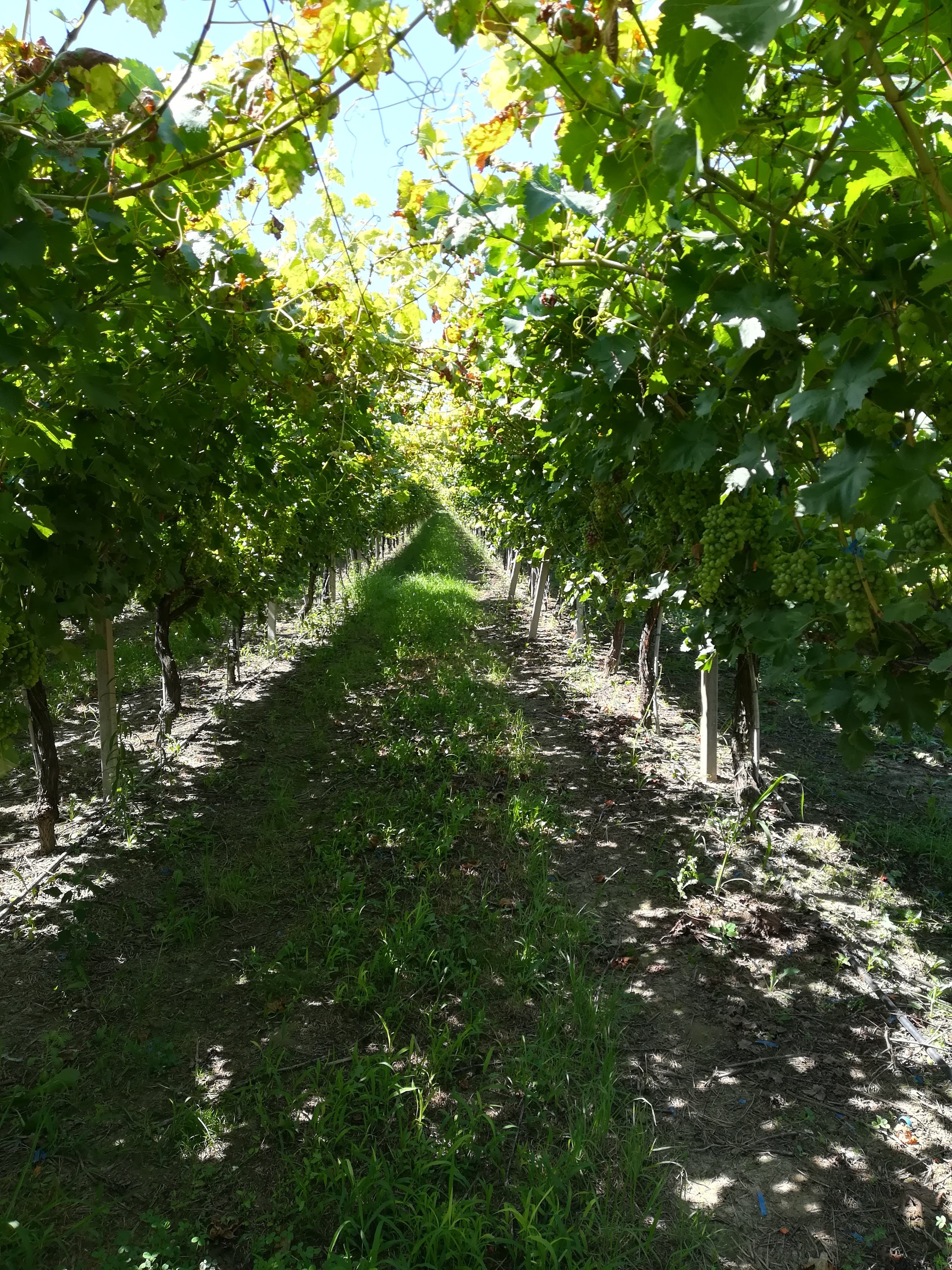 Vision, values and conceptual design | Details | Hackaday.io