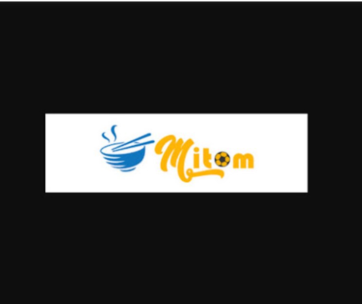 Mitom tv's Profile | Hackaday.io