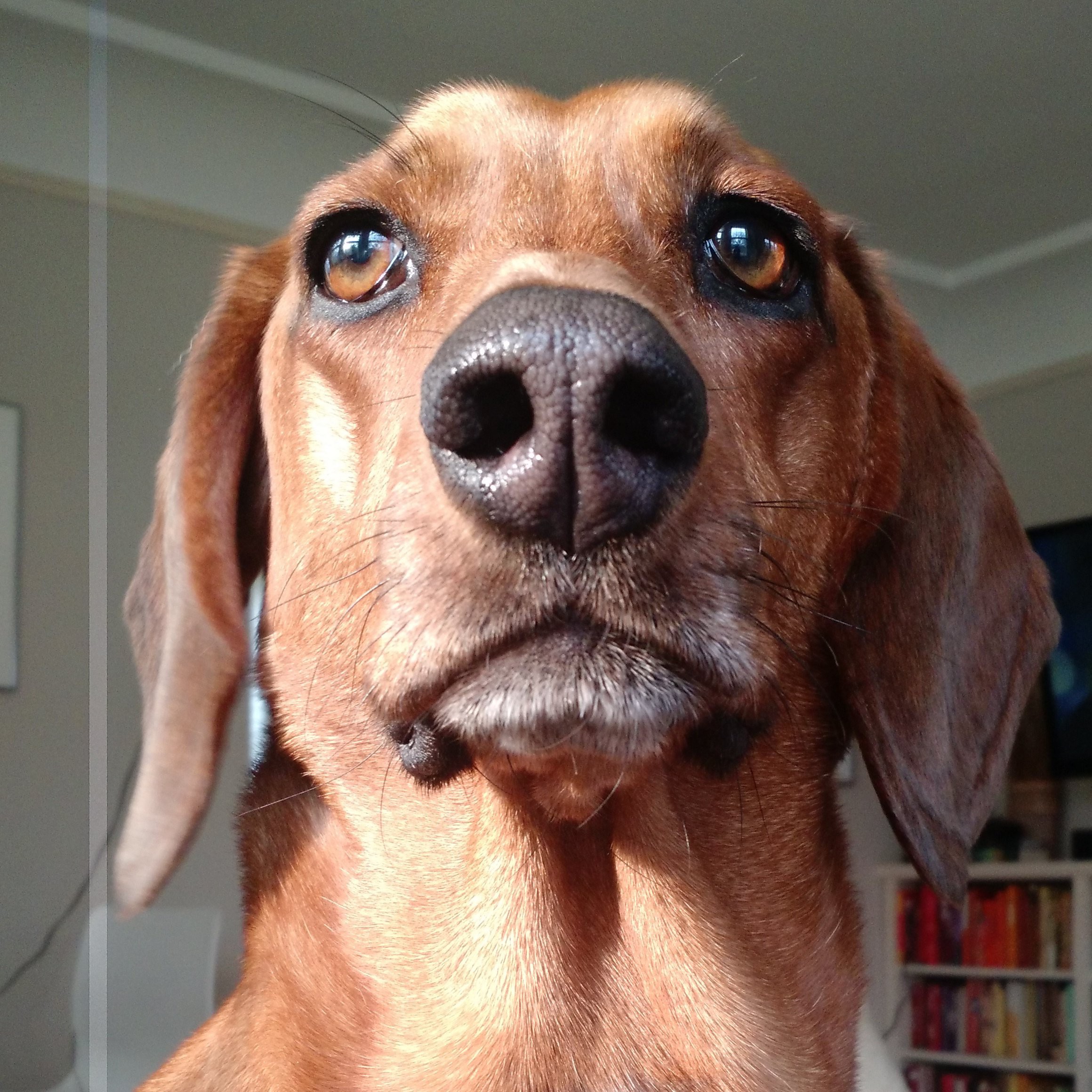 Timothy Cose's Profile | Hackaday.io