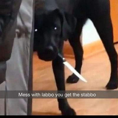 Ryan Libiano's Profile | Hackaday.io