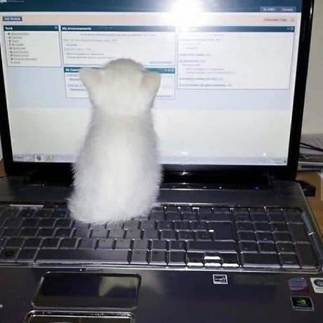 Adam Giard's Profile | Hackaday.io