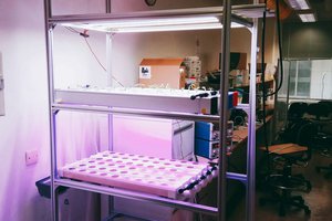 Smart Greenhouse using a Raspberry Pi | Hackaday.io