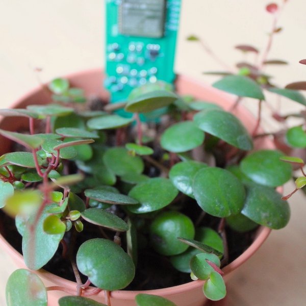 w-parasite | Hackaday.io