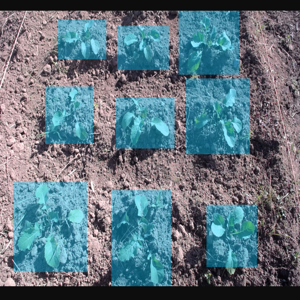 Crop Orientated Agricultural Navigation System | Hackaday.io