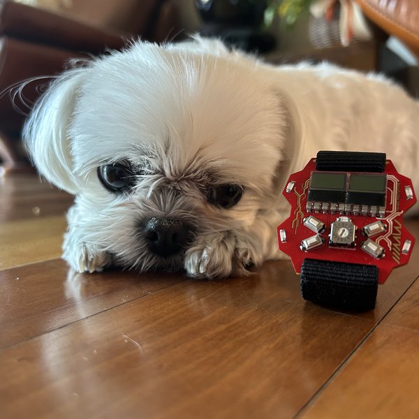 Time Machine Mk. 8 | Hackaday.io