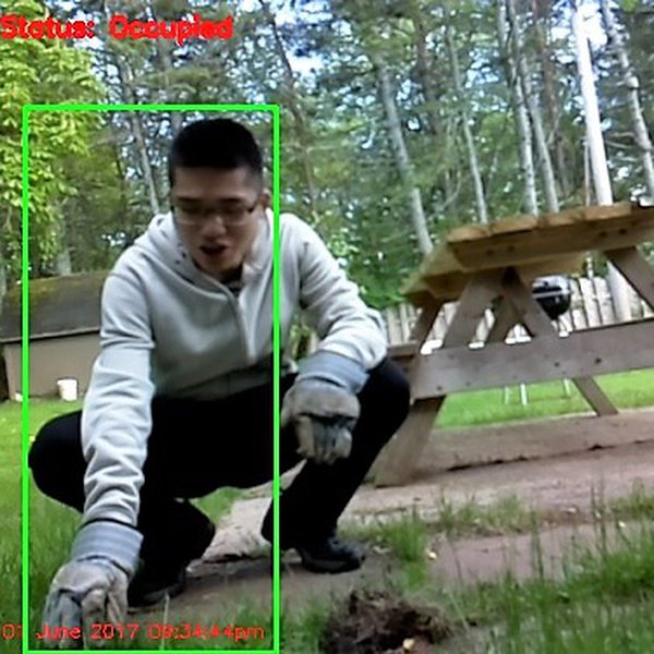 Wild Eye | Hackaday.io