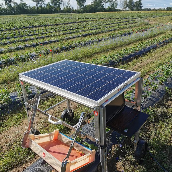 Strawberry Picking Robot