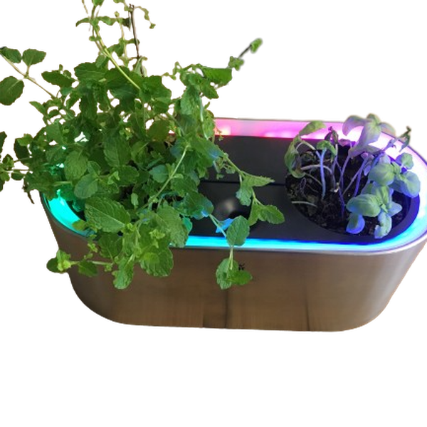 Smart Herbs | Hackaday.io