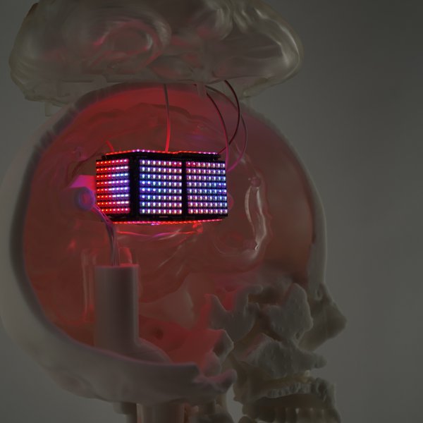 Illuminated Brain | Hackaday.io