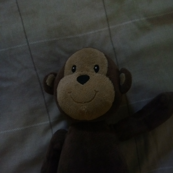 Monkey Detecting Sprinkler | Hackaday.io