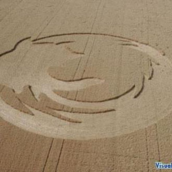 Majua's Profile | Hackaday.io