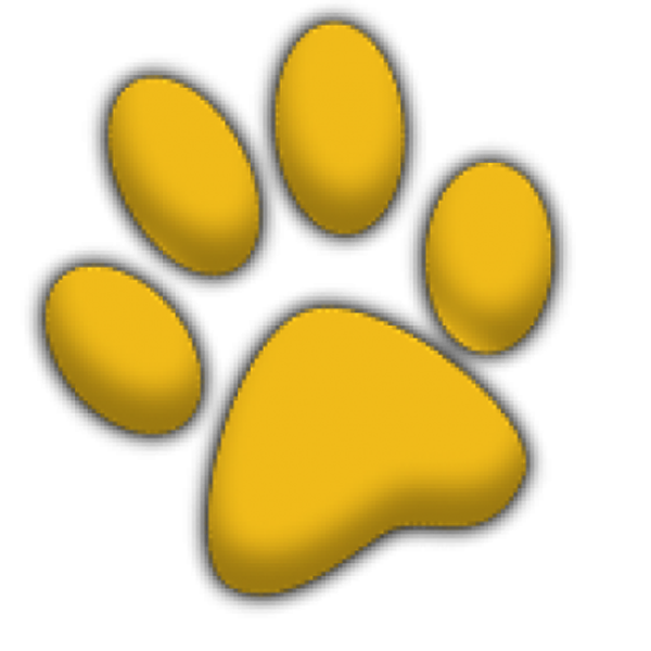 Tim Poulsen's Profile | Hackaday.io