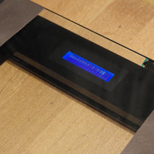 DIY Body Scale | Hackaday.io
