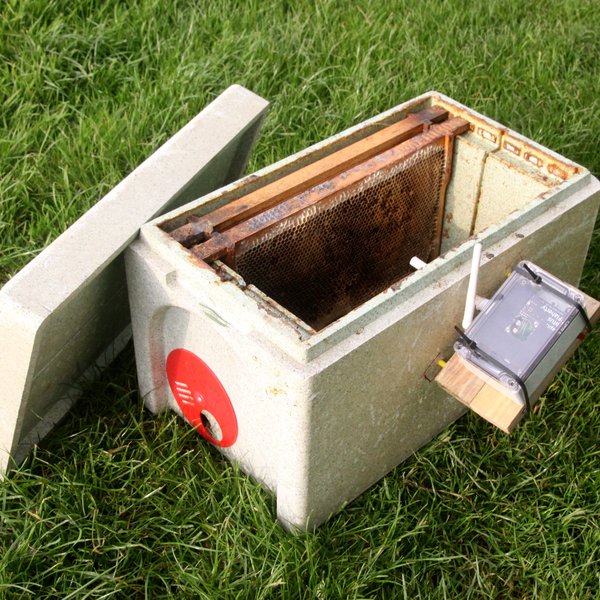 Ai Honey Bee Swarm Detector / Predictor System | Hackaday.io