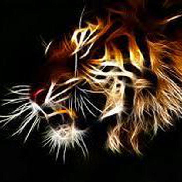 Christopher Orcutt's Profile | Hackaday.io